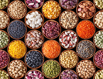 ASIAN GARDEN – UJAMAA SEEDS