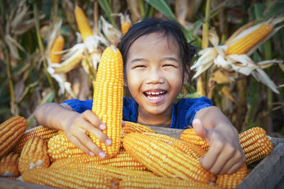 ASIAN GARDEN – UJAMAA SEEDS