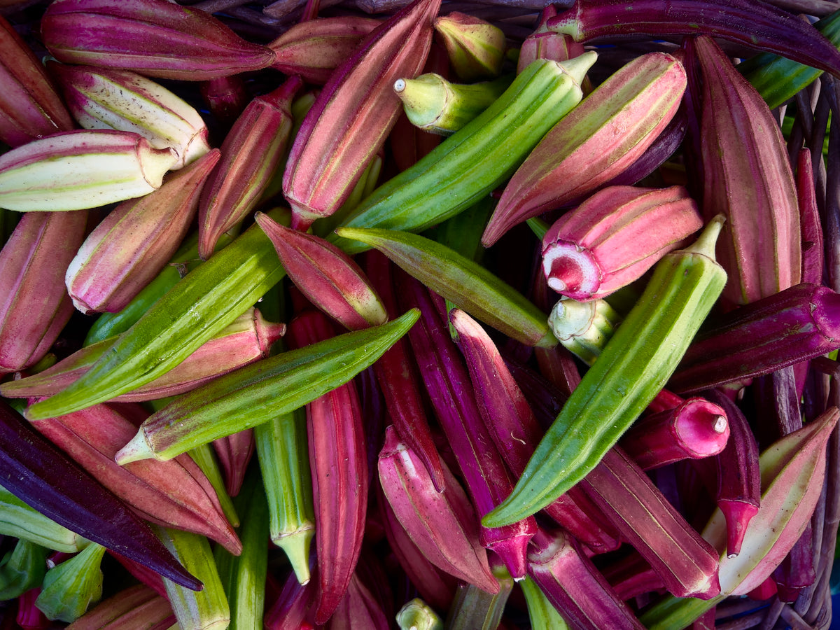 OKRAS – UJAMAA SEEDS