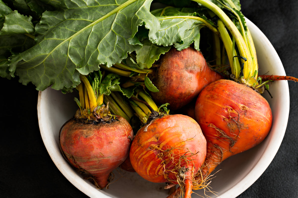 Detroit Golden Beet – UJAMAA SEEDS