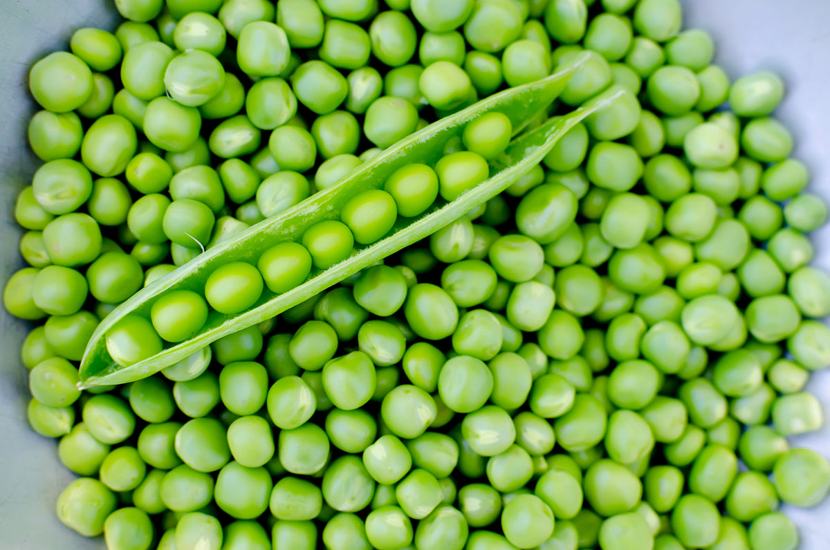 Green Arrow Pea (Shelling) – UJAMAA SEEDS