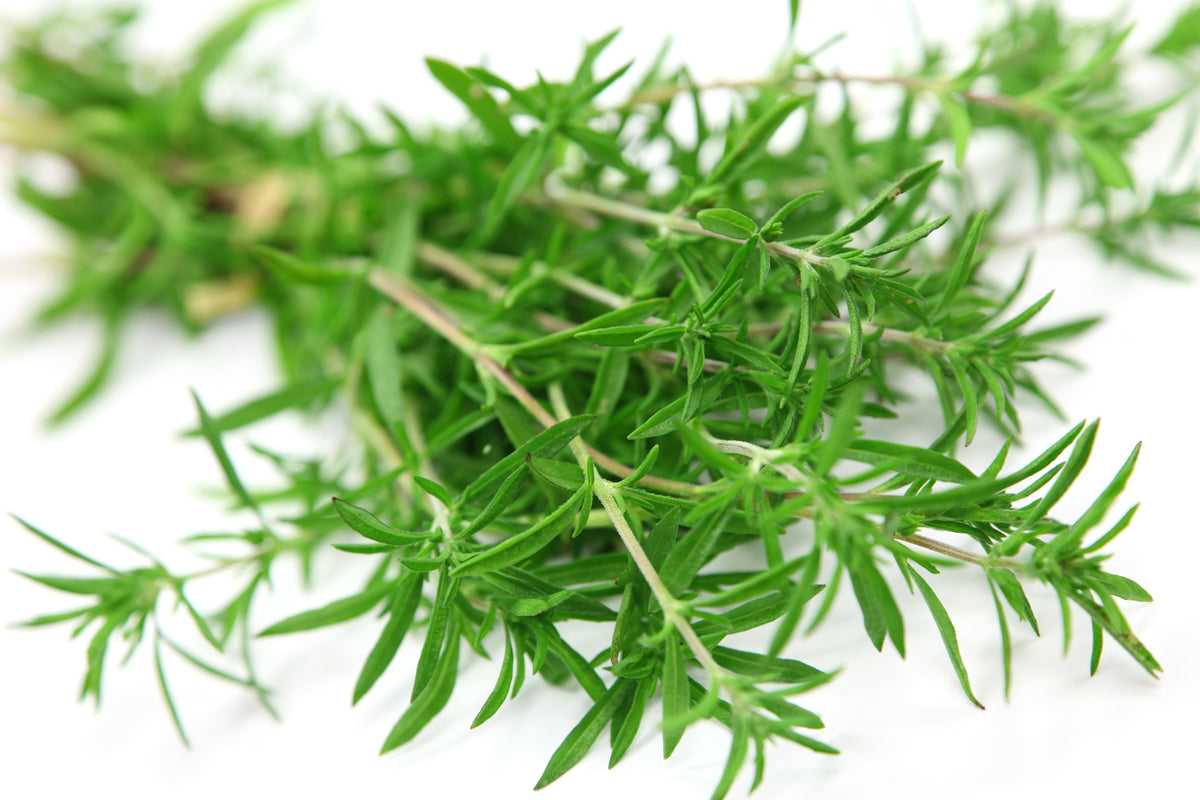 Marzeh - Iranian Summer Savory – UJAMAA SEEDS