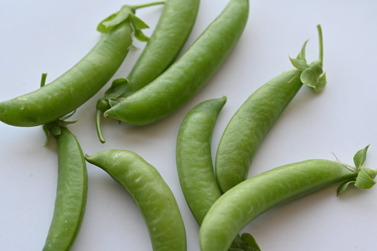 Nairobi Snap Pea – UJAMAA SEEDS
