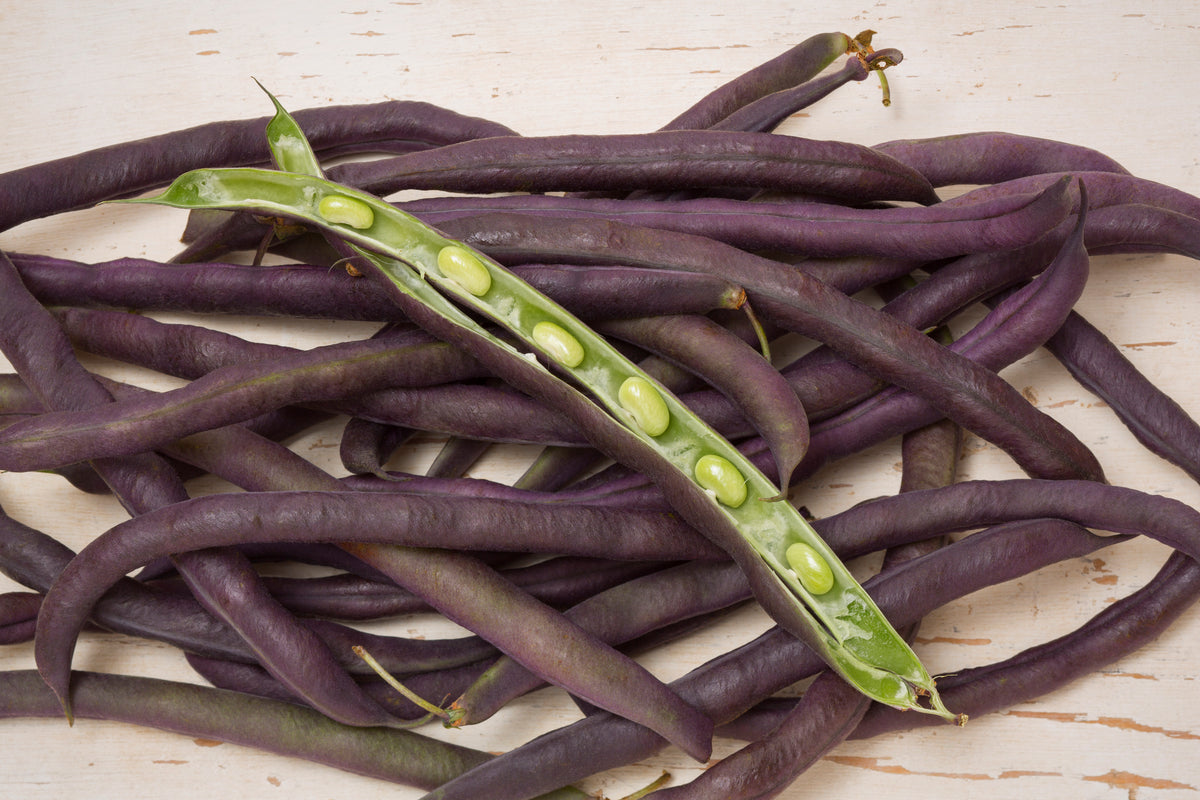 Pinkeye Purple Hull African Pea – UJAMAA SEEDS