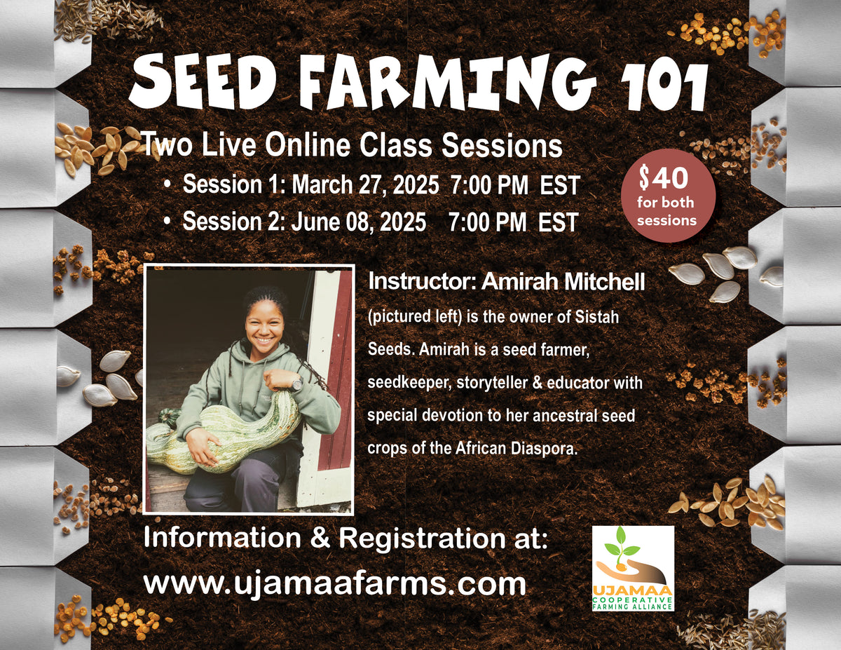 SEED FARMING 101 – UJAMAA SEEDS