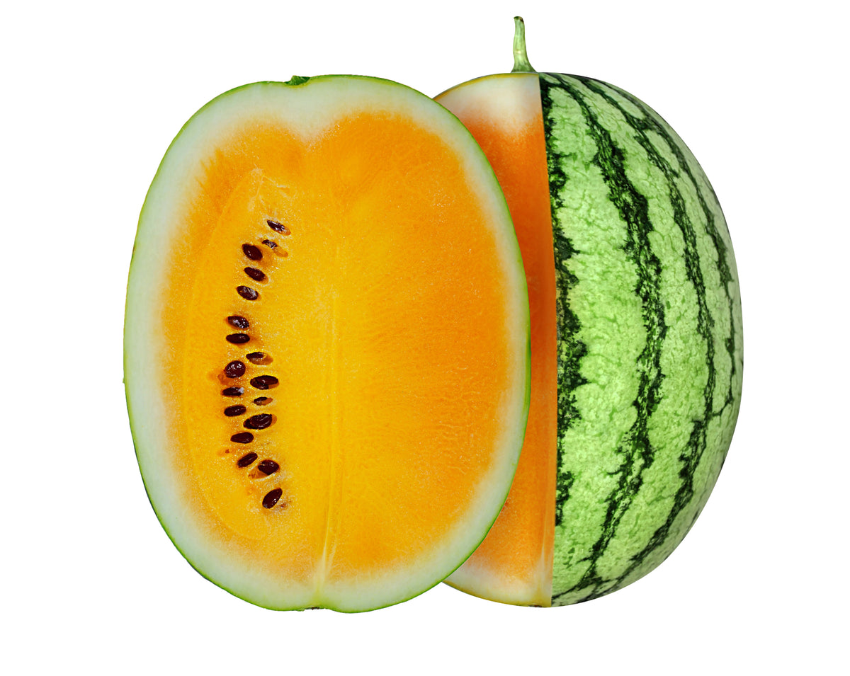 Tendersweet Orange Picnic Watermelon – UJAMAA SEEDS