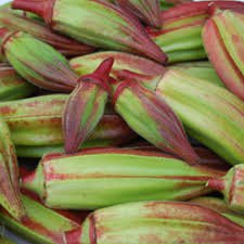 Alabama Red Okra – UJAMAA SEEDS