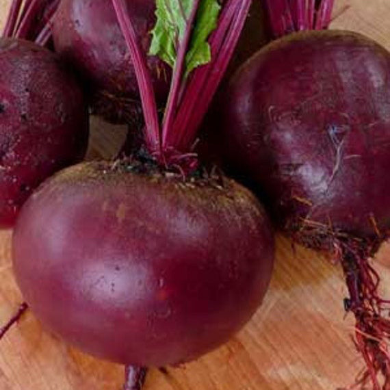 Detroit Dark Red Beet – UJAMAA SEEDS