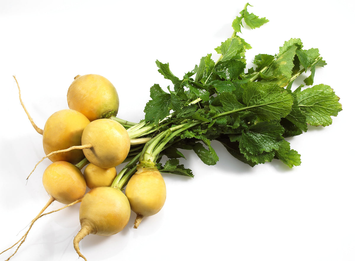 Goldenball Turnip – UJAMAA SEEDS