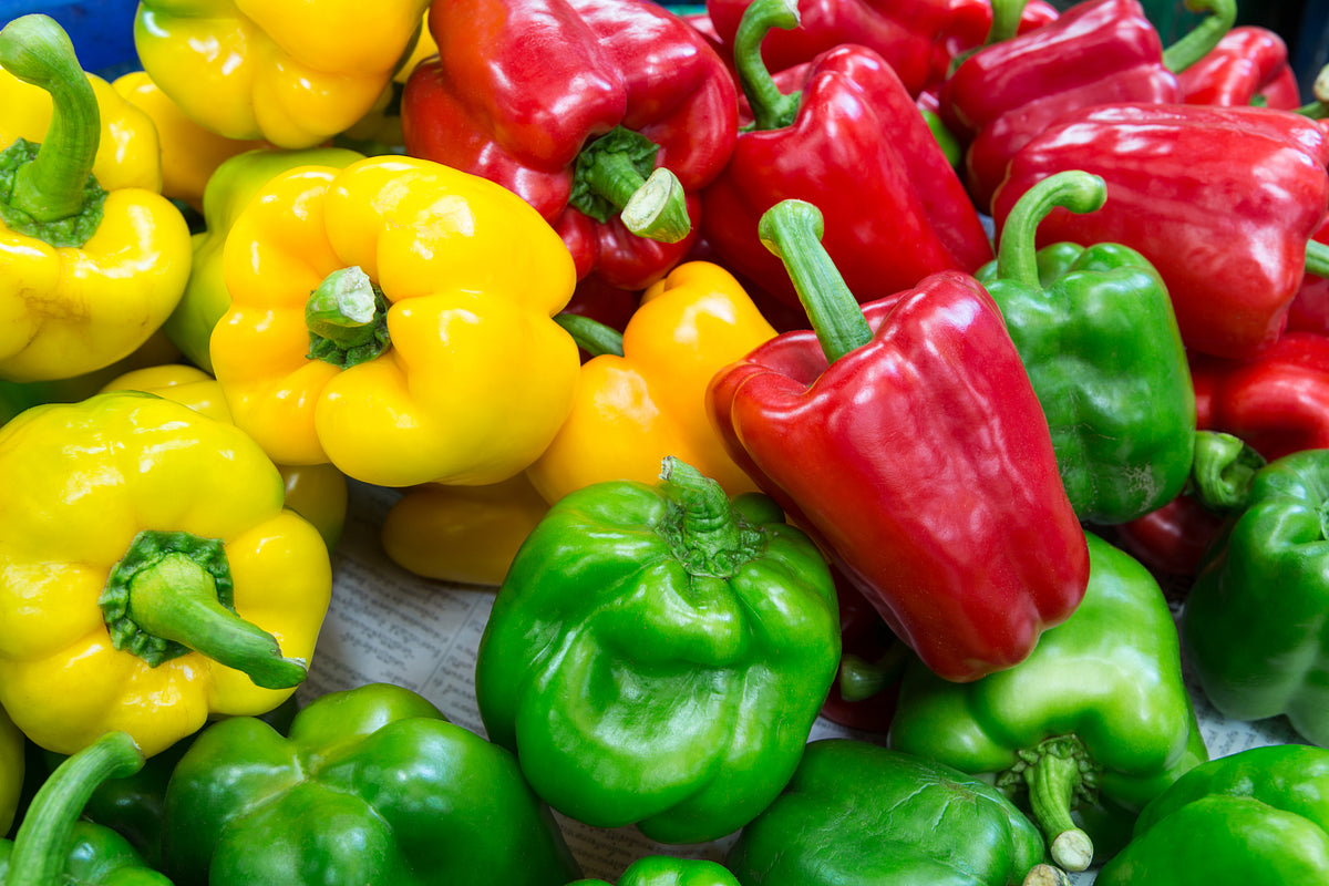 Rainbow Bell Sweet Pepper Blend – UJAMAA SEEDS