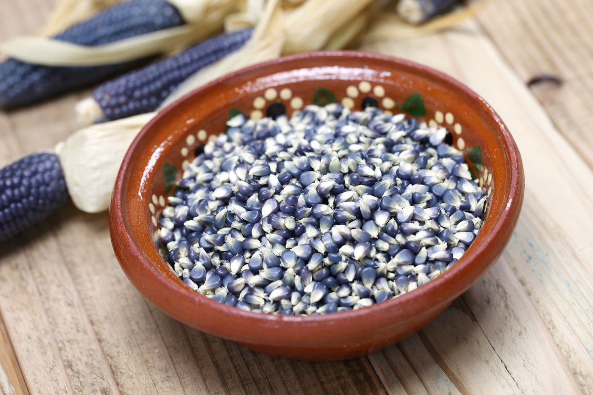 Aonsu Pä-sakun'a'-mon Lenni Lenapi Sweet Corn (Lenni Lenape Blue Pulli ...
