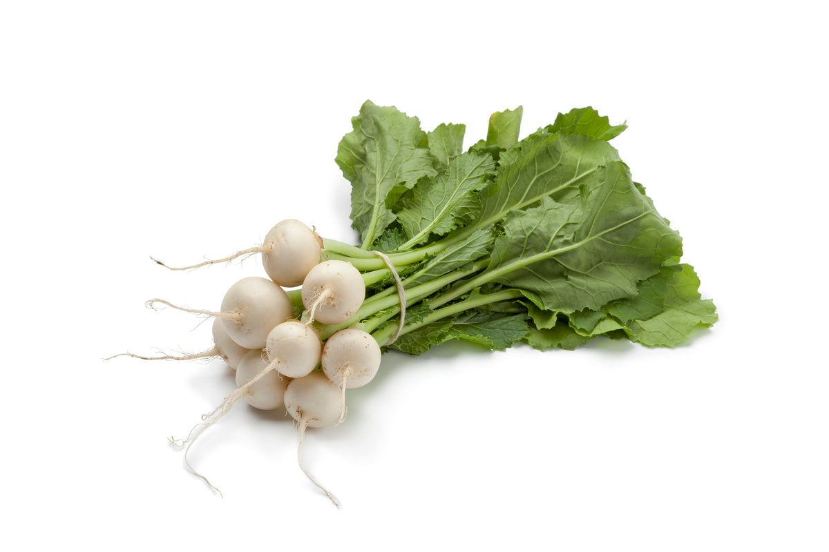 White Egg Turnip – UJAMAA SEEDS